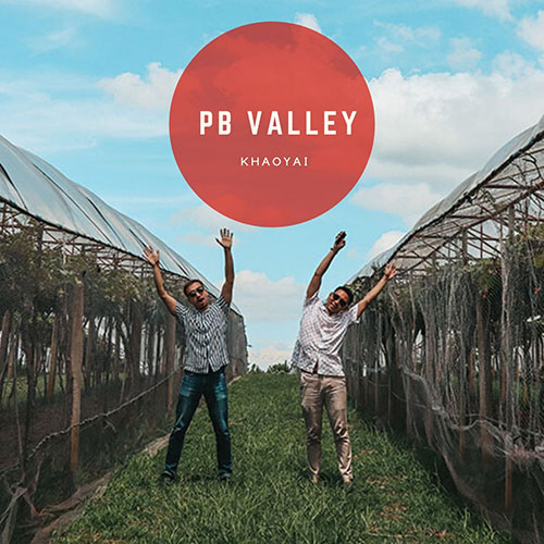 Visit PB Valley Khao Yai Winery – one of the finest vineyards in ...