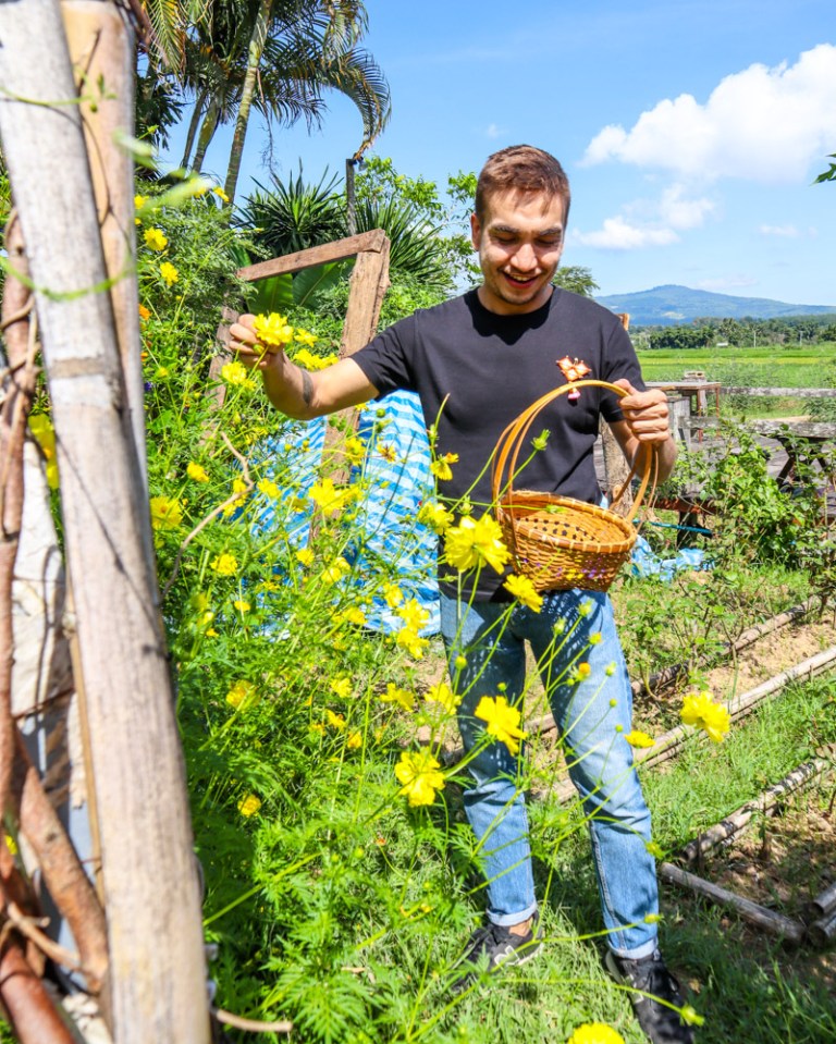 9 Best Places to Visit and Things to-Do in Loei, Thailand – Deer is ...