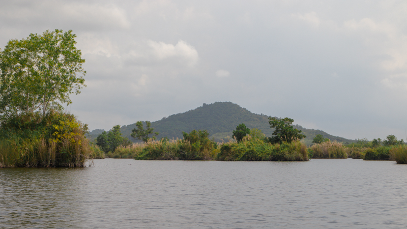 Exploring Thousand-Year-Old Eco-System in the Rayong Botanical Garden ...
