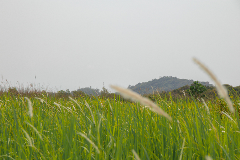 Exploring Thousand-Year-Old Eco-System in the Rayong Botanical Garden ...